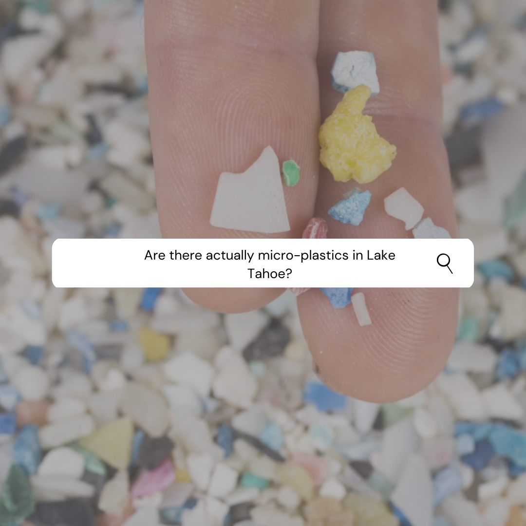Micro-plastics in Lake Tahoe... – Grow.Wild.nCo