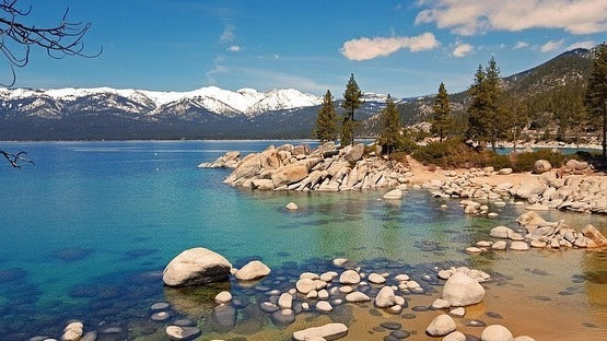 No Tide in Tahoe – Grow.Wild.nCo